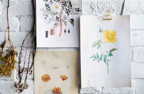 Le dessin de fleur astuces et idées pour apprendre comment dessiner