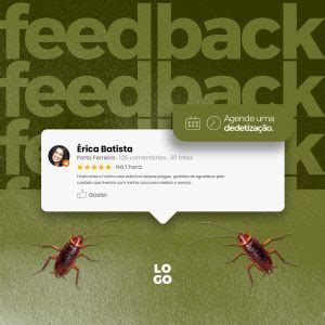 Feedback Finalmente minha Casa está livre dessas Pragas Dedetização