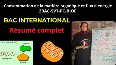 Aji tfhem le cour d ATP kaml f 28min Résumé 2bac svt pc biof YouTube