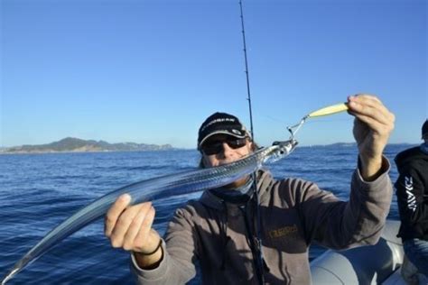Pesca Del Pez Espada Un Pez Depredador De Aguas Profundas