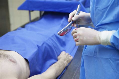 Autopsia Y Necropsia Todo Lo Que Necesitas Saber Experimente A Emo O