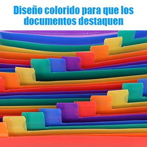 Carpeta Organizadora de Documentos 24 Bolsillo Folder Tamaño Carta A4