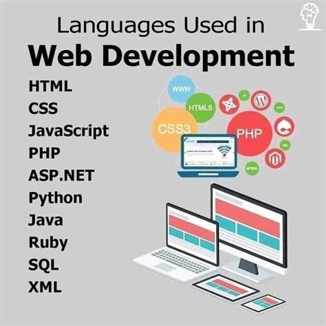 languages used in web development👍 learn computer coding learn computer science data science