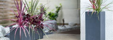 Plantes Pour Jardiniere Plein Sud Agencement De Jardin Aux Meilleurs Prix