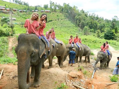 Pin Auf Elephants And Sexy Women 7 Elefanten Fun Travel Reise