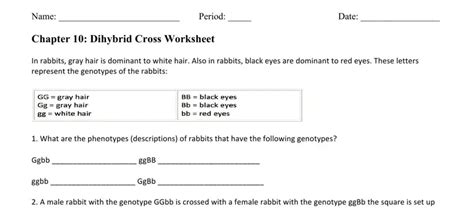 Dihybrid Cross Worksheet Pdf