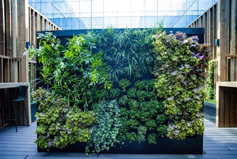 Dise O Biof Lico En Oficinas Orange Madrid Landscapers