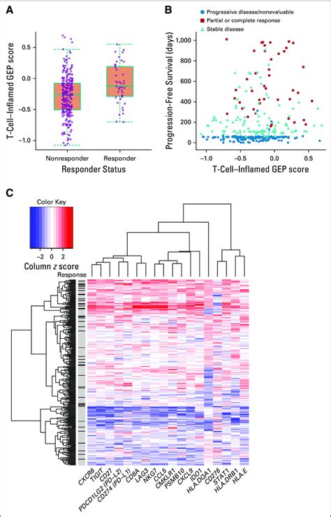 association of t cell inflamed gene expression profile gep with download scientific diagram
