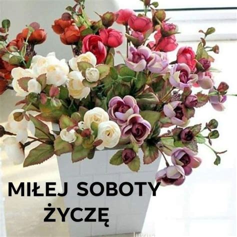Pin di Ewa Wierzbinska Kloska su na dzień dobry popołudnie i dobranoc