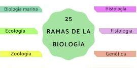 Descubre Las Ramas De Las Ciencias Naturales Una Guía Completa
