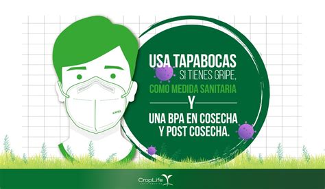 PedroBrito2004 On Twitter RT CropLife La El Uso De Tapabocas Como