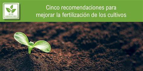 Cinco recomendaciones para mejorar la fertilización de los cultivos