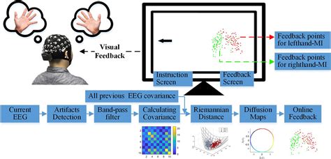 frontiers an online data visualization feedback protocol for motor imagery based bci training