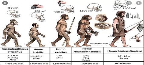 Observa La Siguiente Imagen Y Analiza La Evoluci N Del Hombre A Trav S