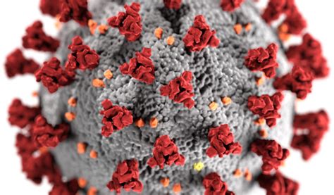 Coronavirus What You Should Know Staunton Augusta Rescue Squad
