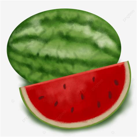 Watermelon Fruit With Cut In Half Isolated Illustration Watermelon