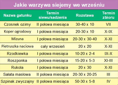 Co siejemy i sadzimy we wrześniu Jakie kwiaty i warzywa