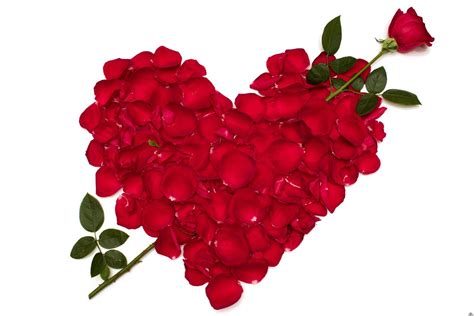 Red Roses And Hearts Wallpapers Wallpaper Cave