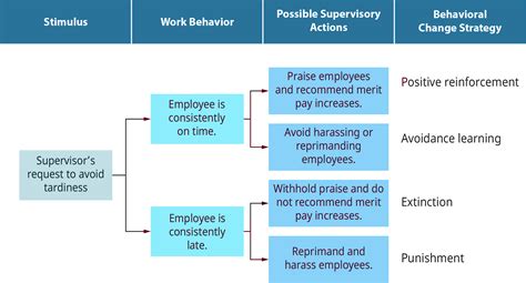 Identify The Four Schedules Of Reinforcement