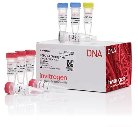 Invitrogen Topo Ta Cloning Kit For Subcloning Without Competent Cells