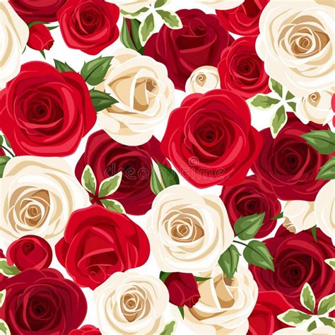 El Modelo Inconsútil Con Las Rosas Rojas Rosadas Y Blancas Los