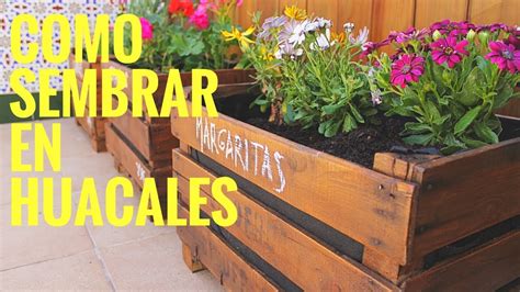 Como Hacer Huertos Verticales