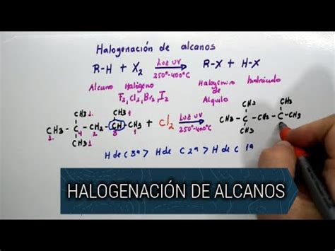 Halogenacion De Alcanos Ejercicios Lios