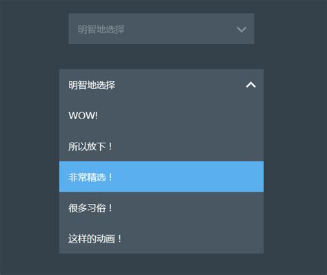 jquery多功能下拉菜单选择框代码 表单代码 站长源码网