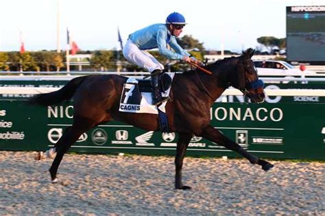 PRIX DU COL DE VENCE 2024 Partants Et Pronostics CAGNES SUR MER