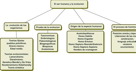 Mapa Conceptual