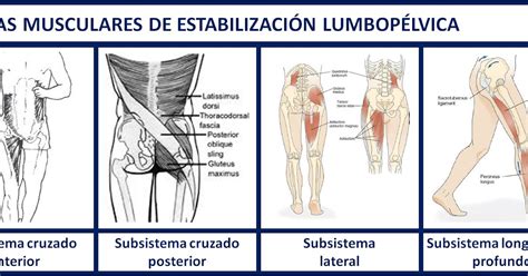 Valoración del movimiento y prescripción de ejercicio Los subsistemas
