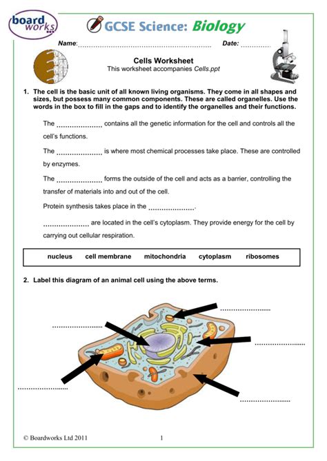 Free Cell Structure Worksheets