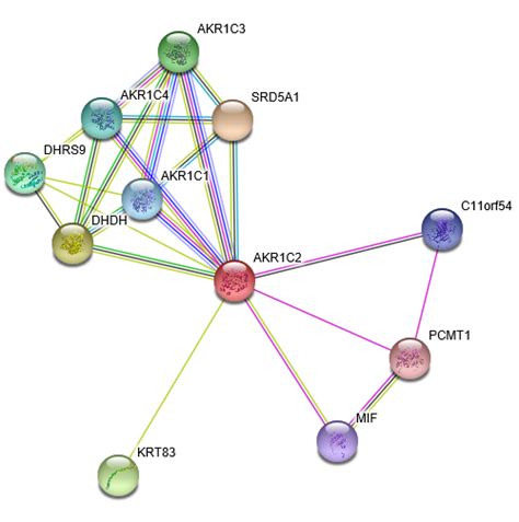 AKR1C2 Protein Overview Sino Biological