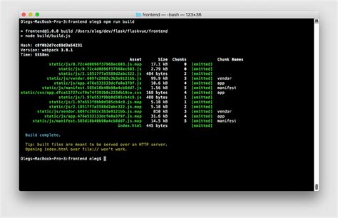 python server pages cron vuejs solution stack execution npm front and back ends nodejs