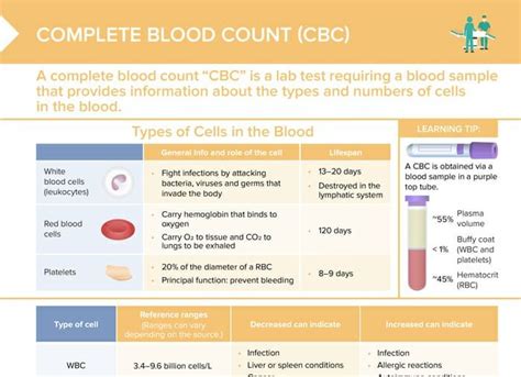 Complete Blood Count Free Cheat Sheet Lecturio Nursing In 2024