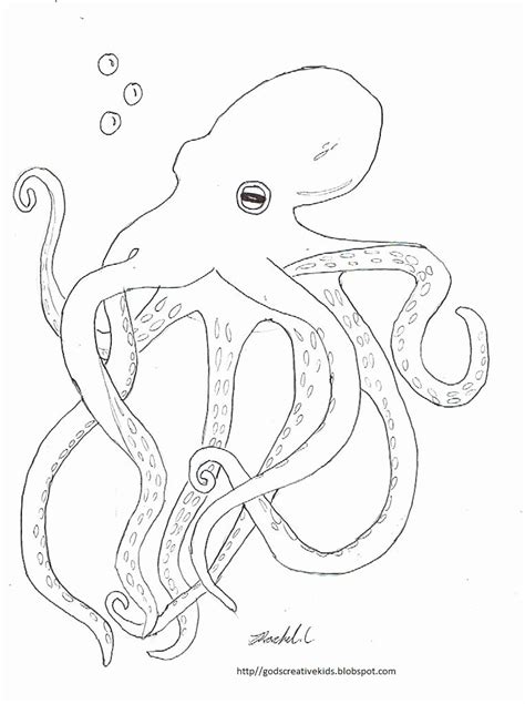 Desenho Polvo Para Colorir Hideawaymoms The Best Porn Website
