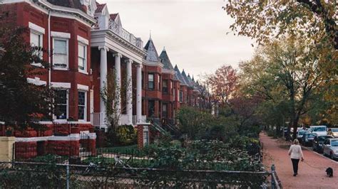 Washington DC Capitol Hill Guided Walking Tour GetYourGuide
