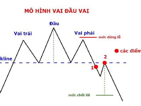 Cập nhật 74 về mô hình đầu và hai vai hay nhất coedo vn