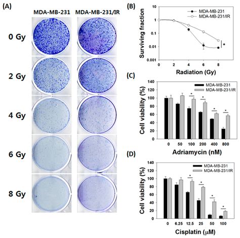 Nutrients Free Full Text Baicalein Suppresses Stem Cell Like