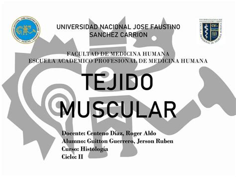CLASE 04 Tejido Muscular Jerson Guitton UDocz
