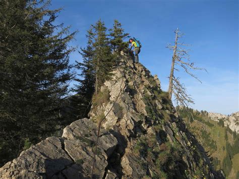 Burgberger H Rnle Aurikelkante Und Stuhlwand Fotos Hikr Org