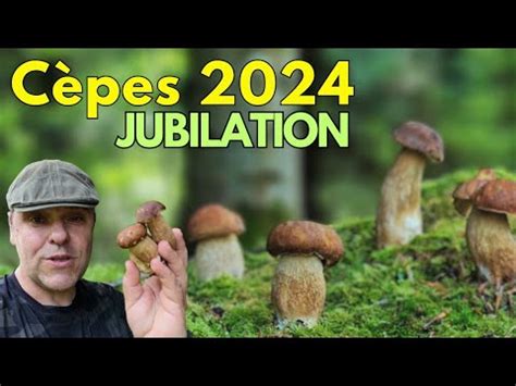 Cèpes 2024 Jubilation La pousse démarre Des indices cepes asmr