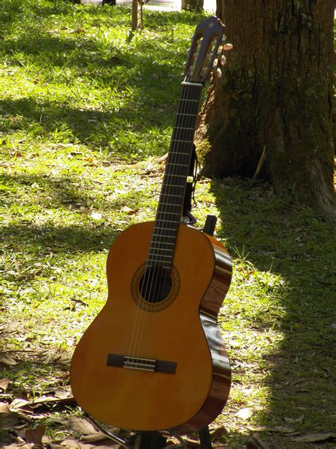 Fotos gratis música guitarra acustica instrumento musical bajo