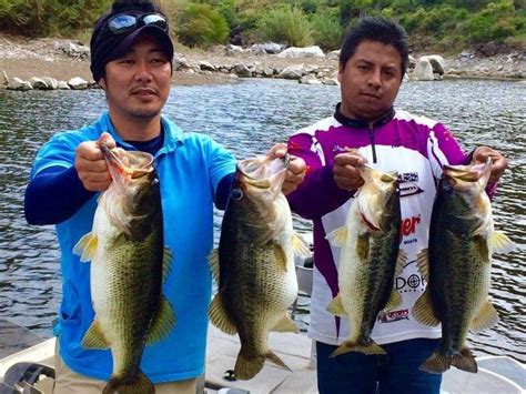 Donde Pescar Guias De Pesca En Zimapan