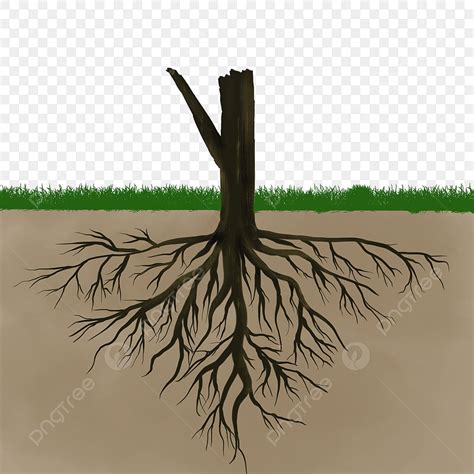 Tree Roots Hd Transparent Underground Brown Black Tree Root Clip Art