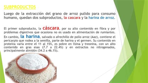 PROCESO PRODUCTIVO DEL ARROZ YouTube
