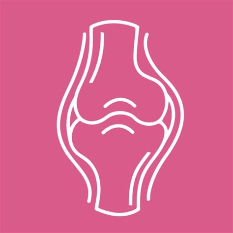 Banner Anatomia Papel E Caneta