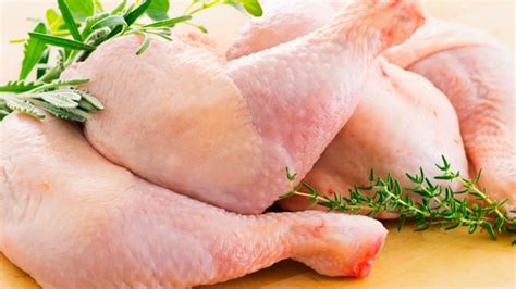 Argentina volverá a exportar carne aviar a la Unión Europea