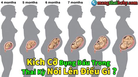 Kích Cỡ Bụng Bầu Trong Thai Kỳ Sẽ Thay Đổi Như Thế Nào Và Nói Lên Điều