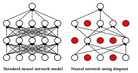 The Difference Between A Standard Neural Network Model And A Neural